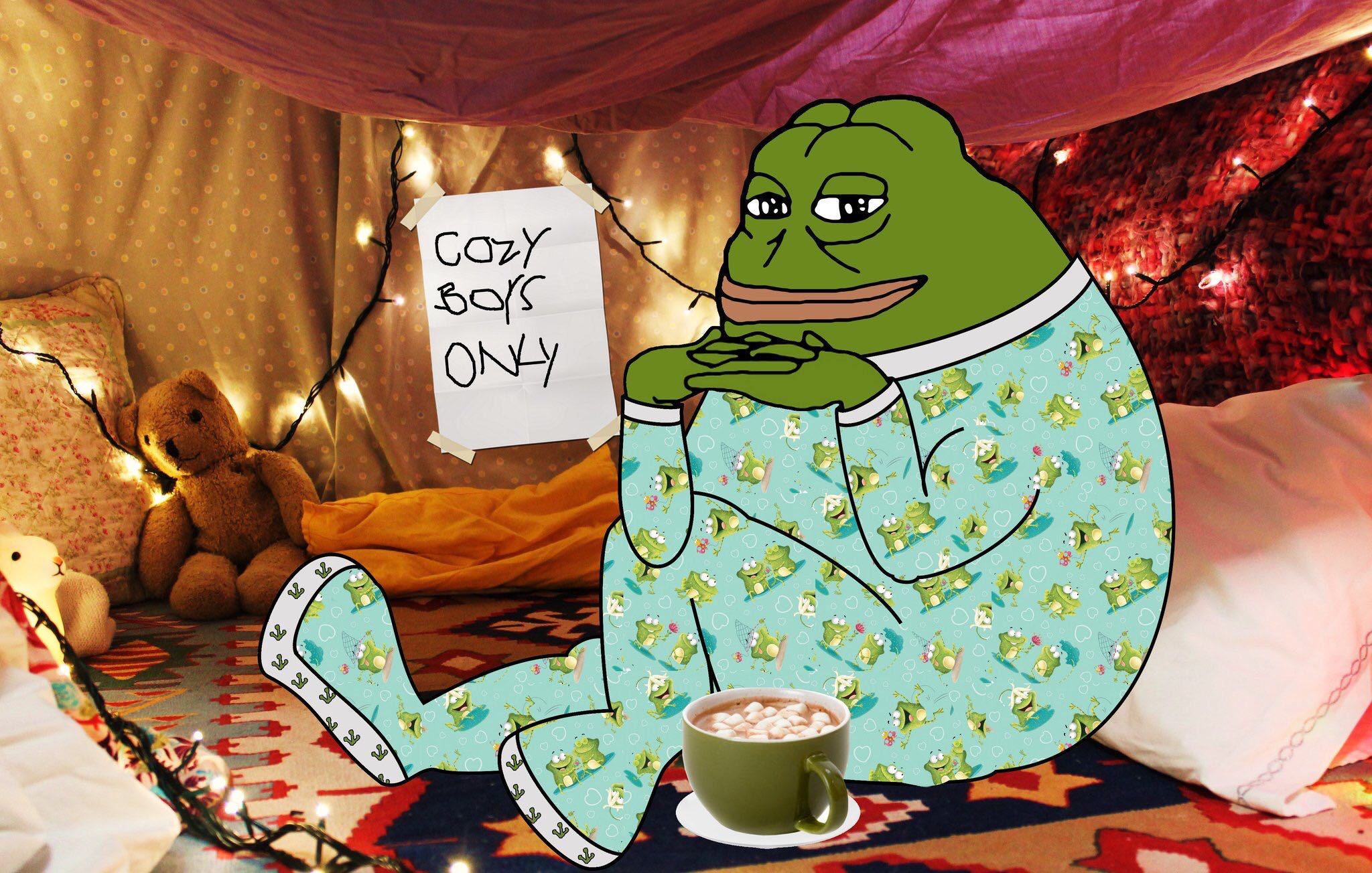 Have a cozy frog day. - Signal Intelligence